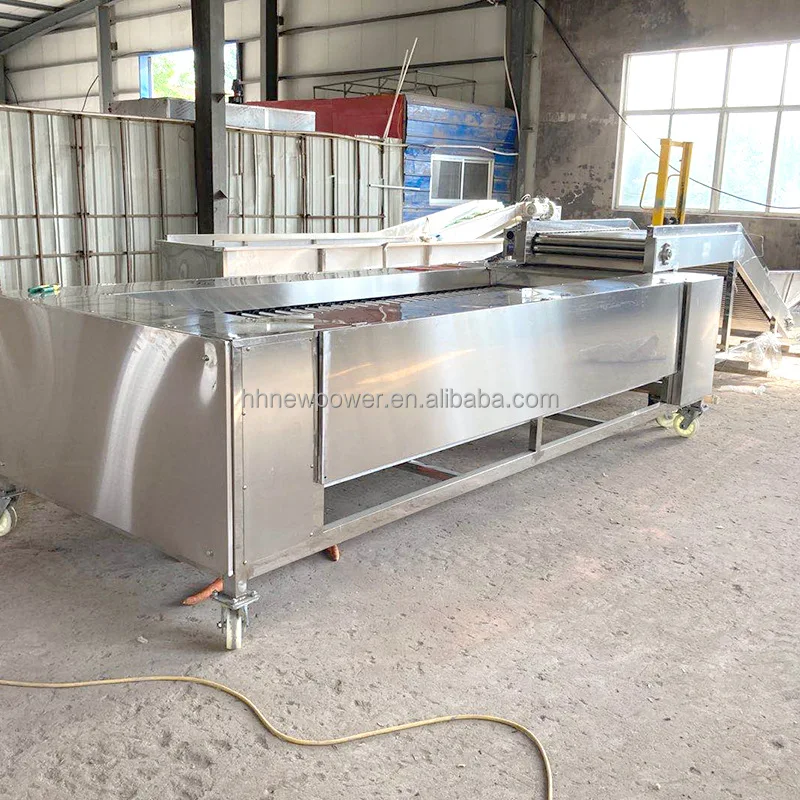 Automatic Grader mango Fruit Grading Machine apple Oranges Lemon ...