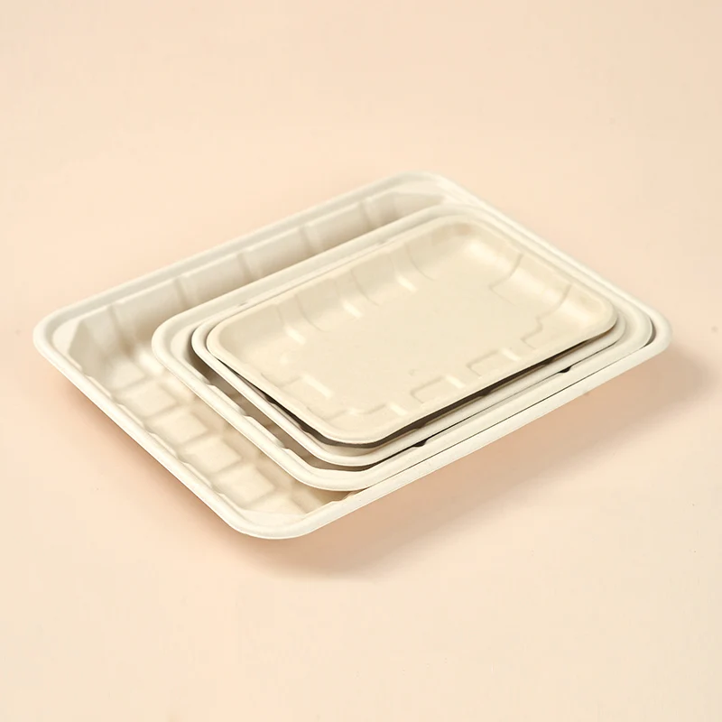 Disposable Biodegradable Paper Lunch Plate Bagasse Takeaway Paper Plate ...