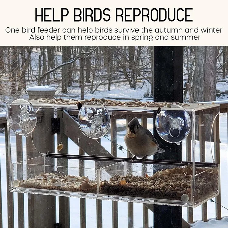 Rectangle Bird House Window Bird Feeder With 3 Suction Cups| Alibaba.com