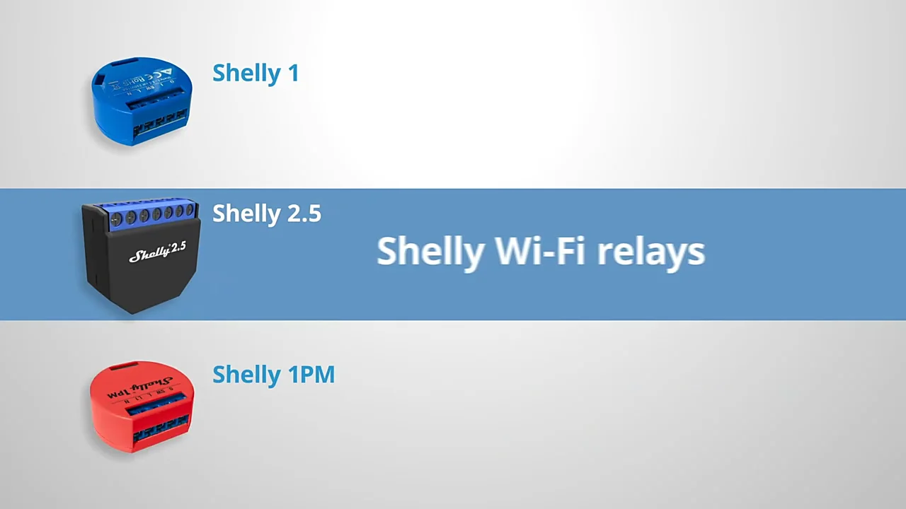 Company Overview - Shelly Asia