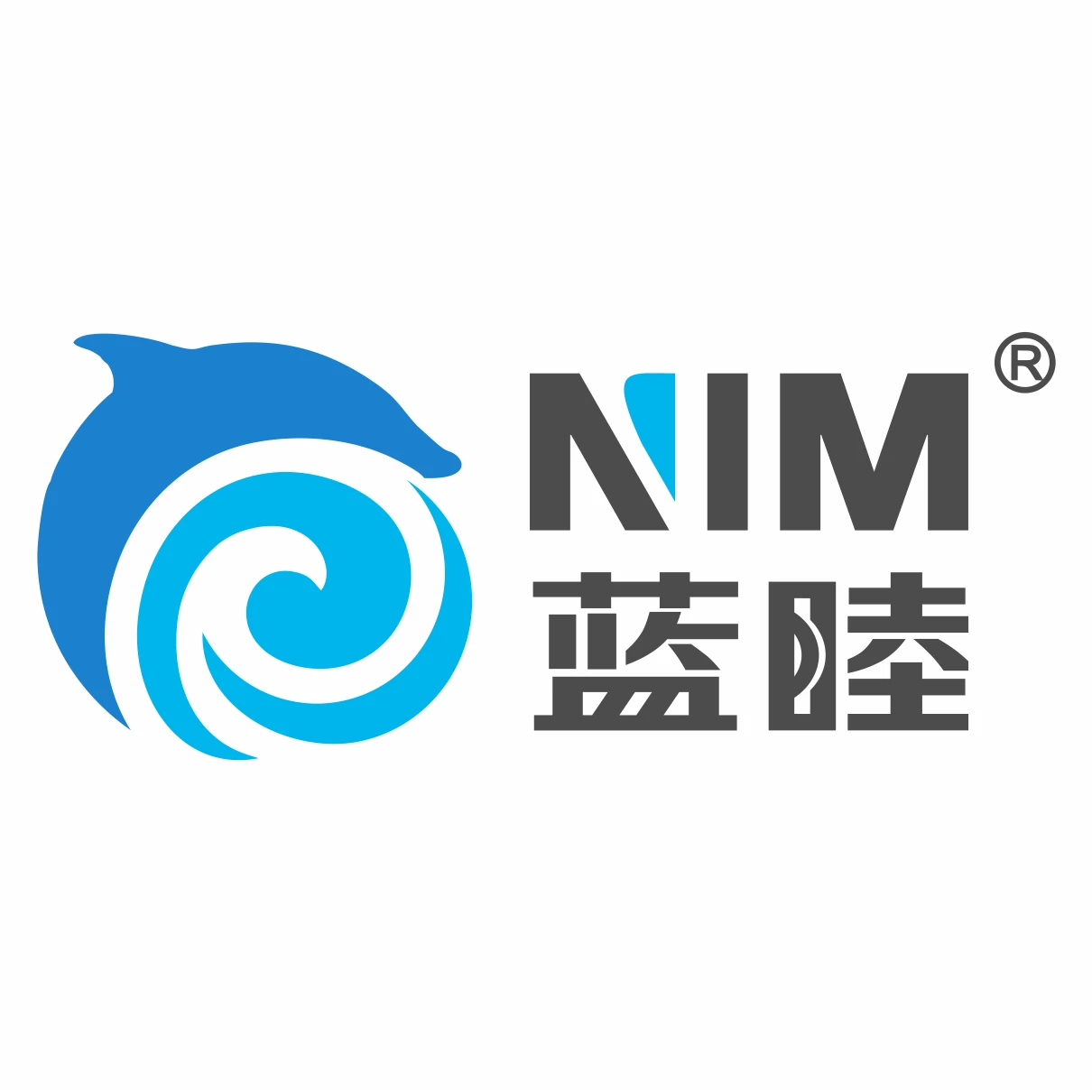 Company Overview - Shanghai NIM Medical Technology Co., Ltd.