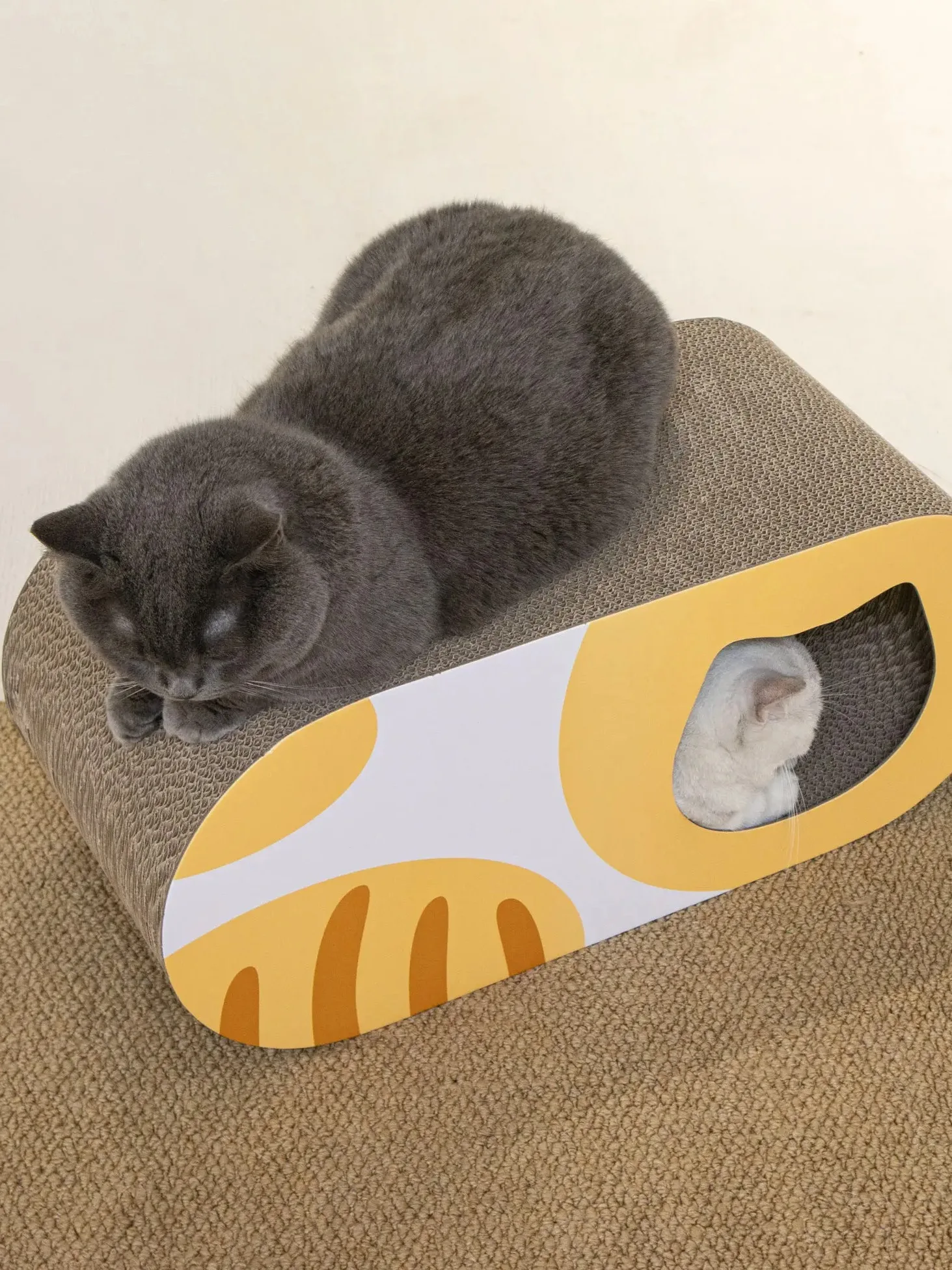 Bunnyhi Mzb015 Cat Tunnel Nest Interactive Toy Paper Cardboard Cat ...