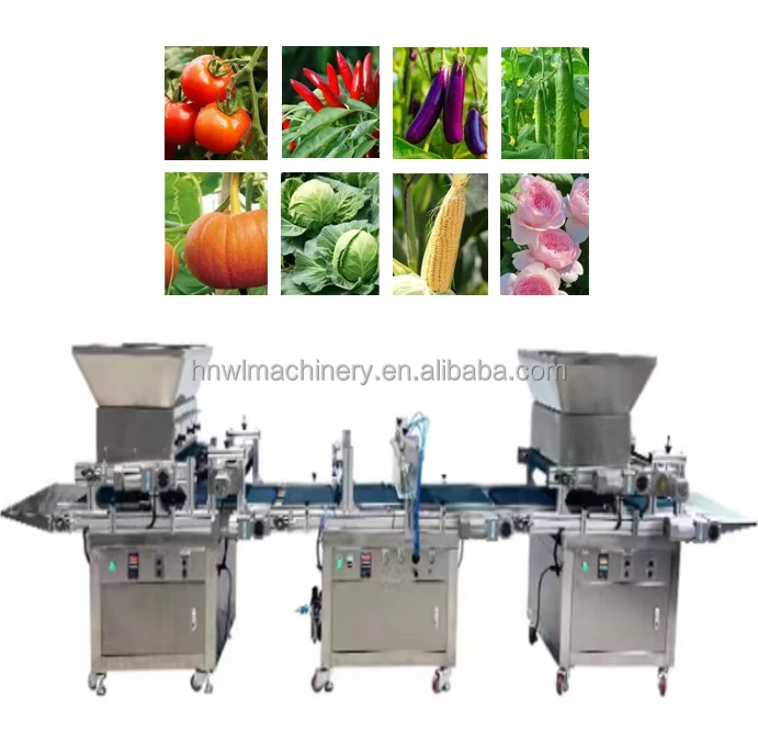 Tray Seedling Machine Automatic Vegetable Seedling Cultivation ...