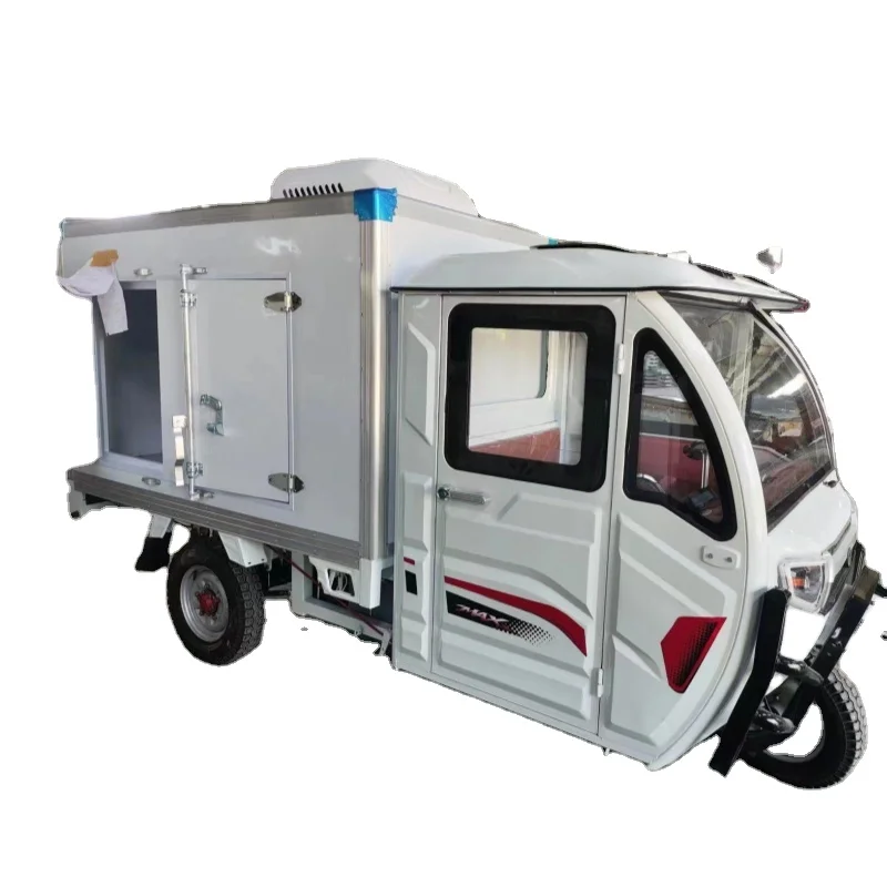 Electric Three-wheeled Freezer Cold Chain Small Freezer Ice Cream Fresh ...