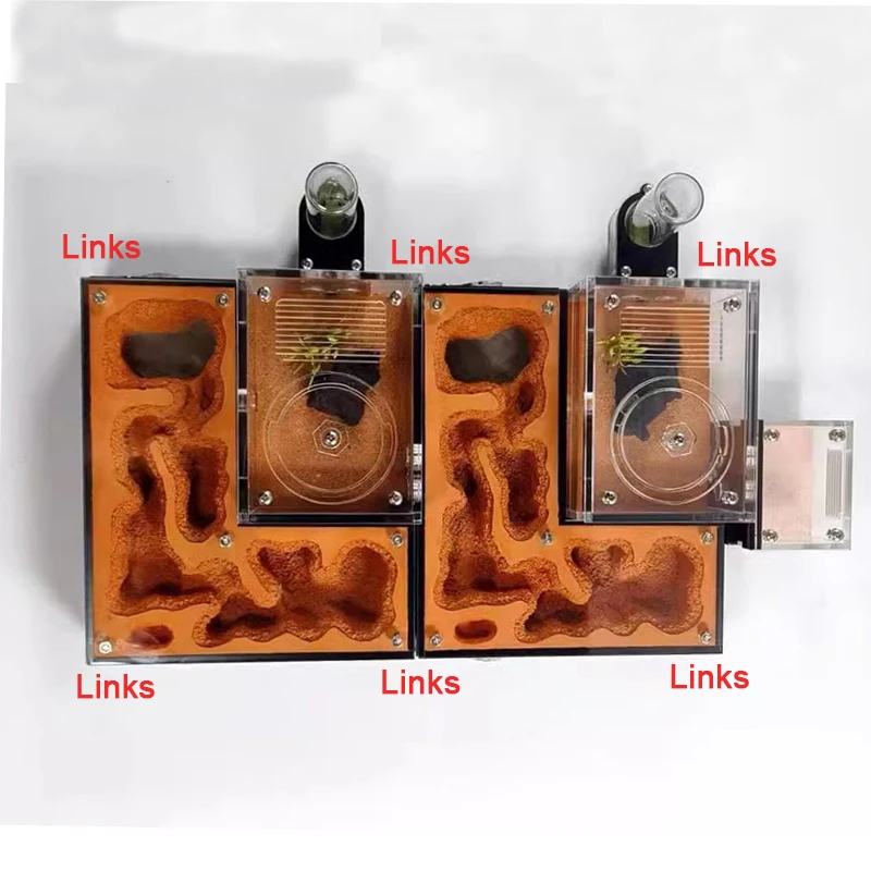 Ant Queen Anthill Castle Ant Farm with Water Tower & Eco-Friendly Design