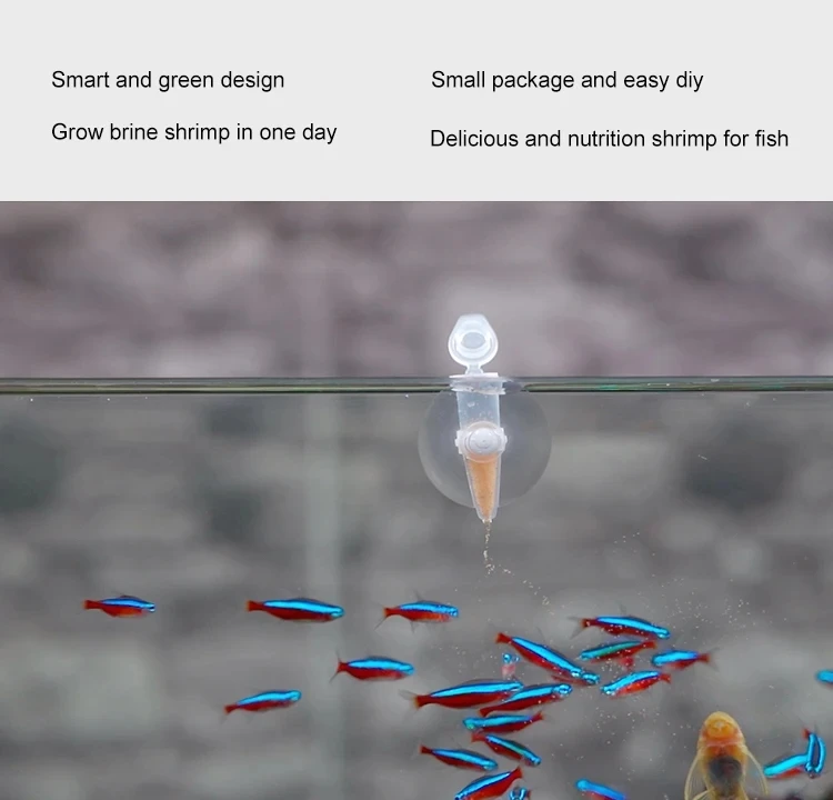 DIY Fish Tank Brine Shrimp Incubator Aquarium Artemia Alive Hatchery ...