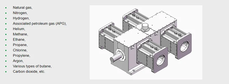 High-pressure Reciprocating Gas Compressor With Lubricated Motor ...