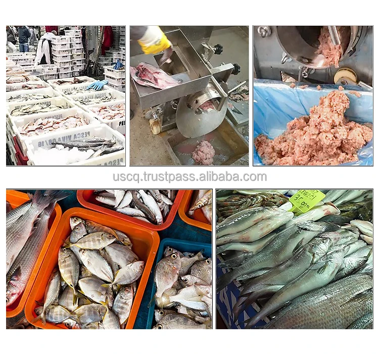 Industrial Fish Meat Separator Industrial Shrimp Meat Skin Separator ...