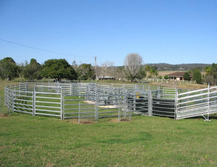 Round Pen Horse Corral Panels Livestock Cattle Panels Field Livestock ...