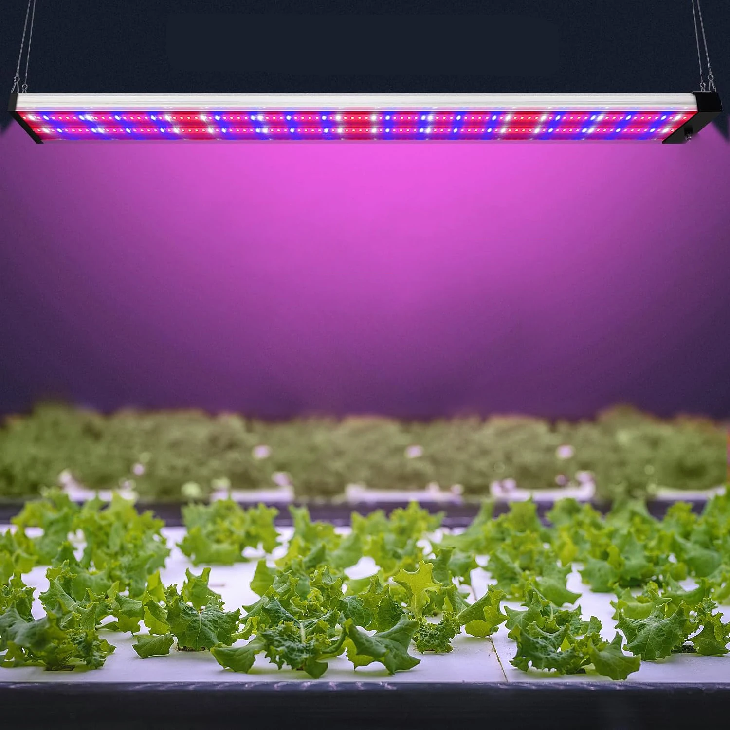 60W Full Spectrum LED Grow Light - Ideal for Indoor Gardening