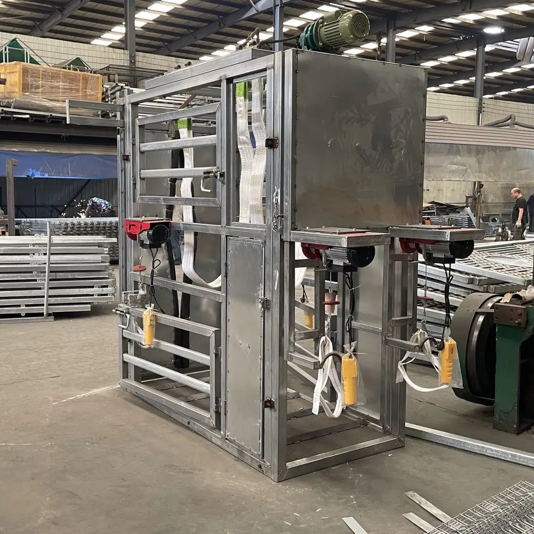 Cattle Equipment / Cattle Hoof Trimming / Chute Livestock Farming ...