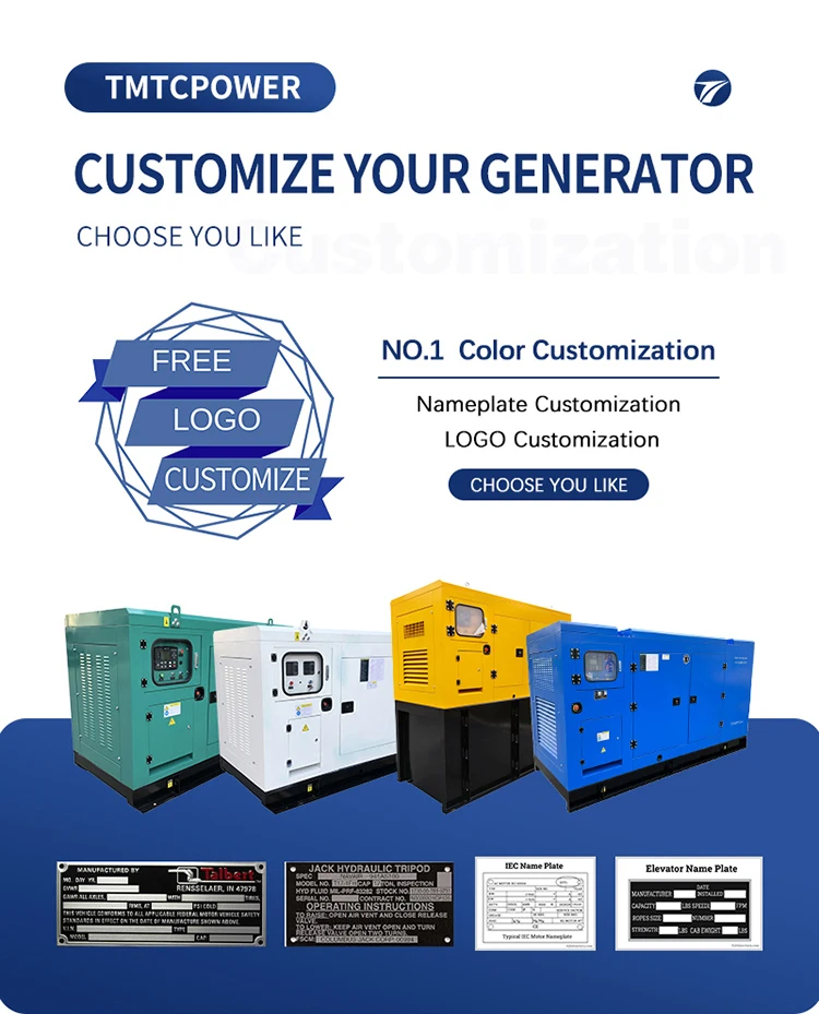 Small Wood Biomass Gasifier Generator for Household Power