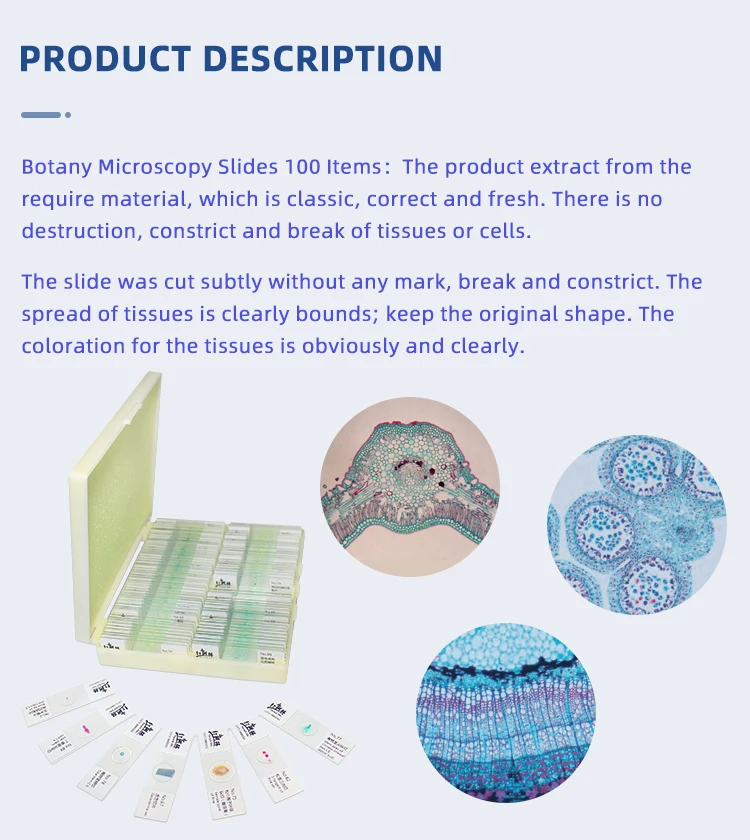 Botany Microscopy Slides 100 Items Section Hot Selling Student Learning ...