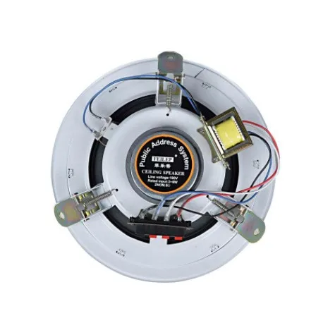 8 Inch Ceiling Speaker Public Address Systems for Store & Shopping Mall ...