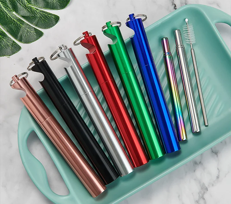 Stainless Steel Folding Collapsible Drinking Straw Kit