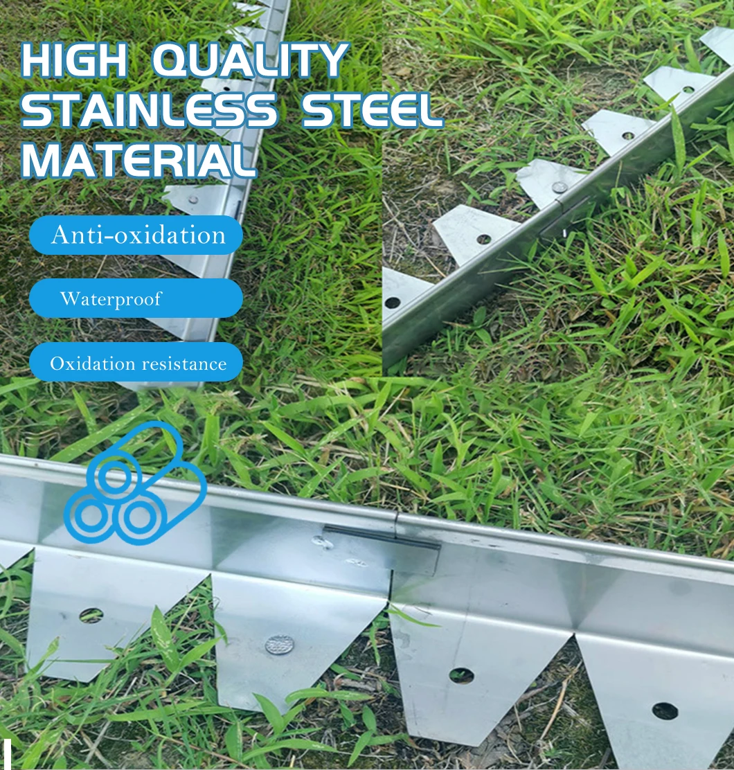 Stainless Steel Garden Edging - Durable & Stylish Solutions