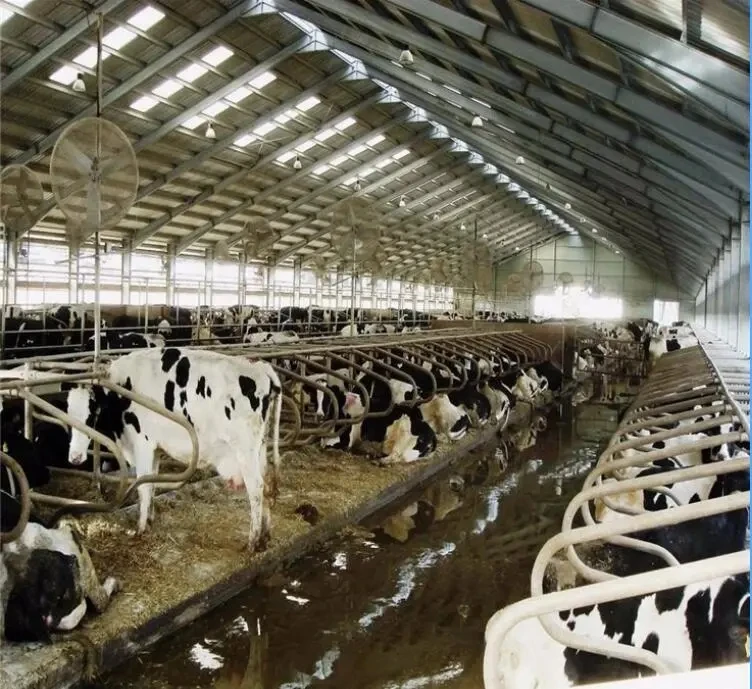 Livestock Shelter - Durable Steel Structure for Cattle & Goats