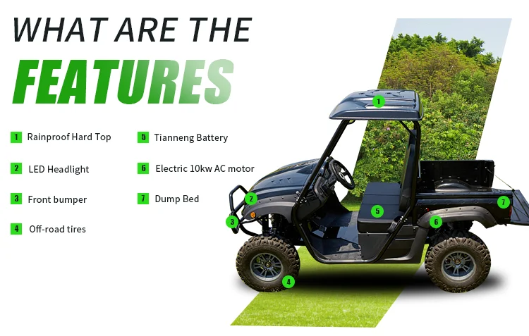 Hot Sale 4x4 10kw Electric UTV Electric Utility Vehicle with Automatic ...