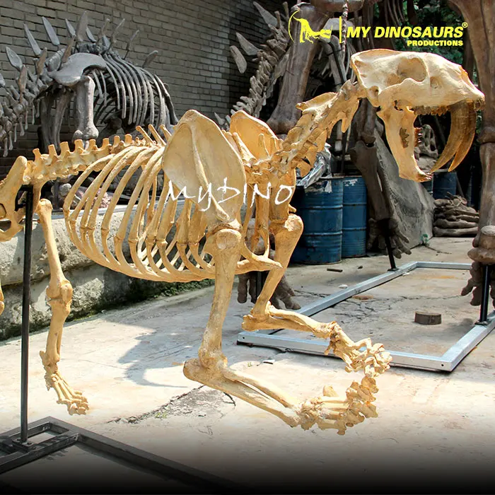 Smilodon Skeleton