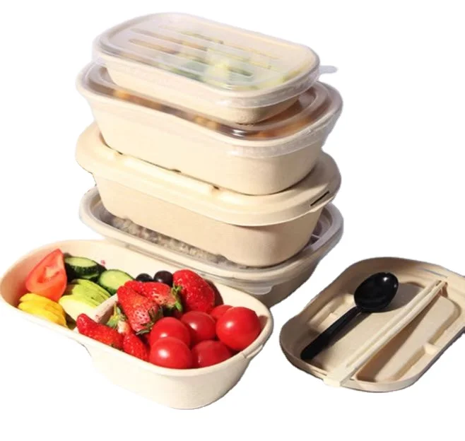 Sugar Cane Lunch Box Biodegradable Degradable Party Equipment ...