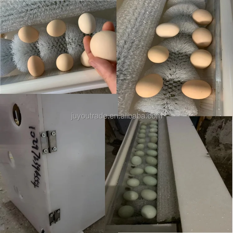 Automatic Egg Cleaner Machine Egg Cleaner and Washer Machine Egg ...