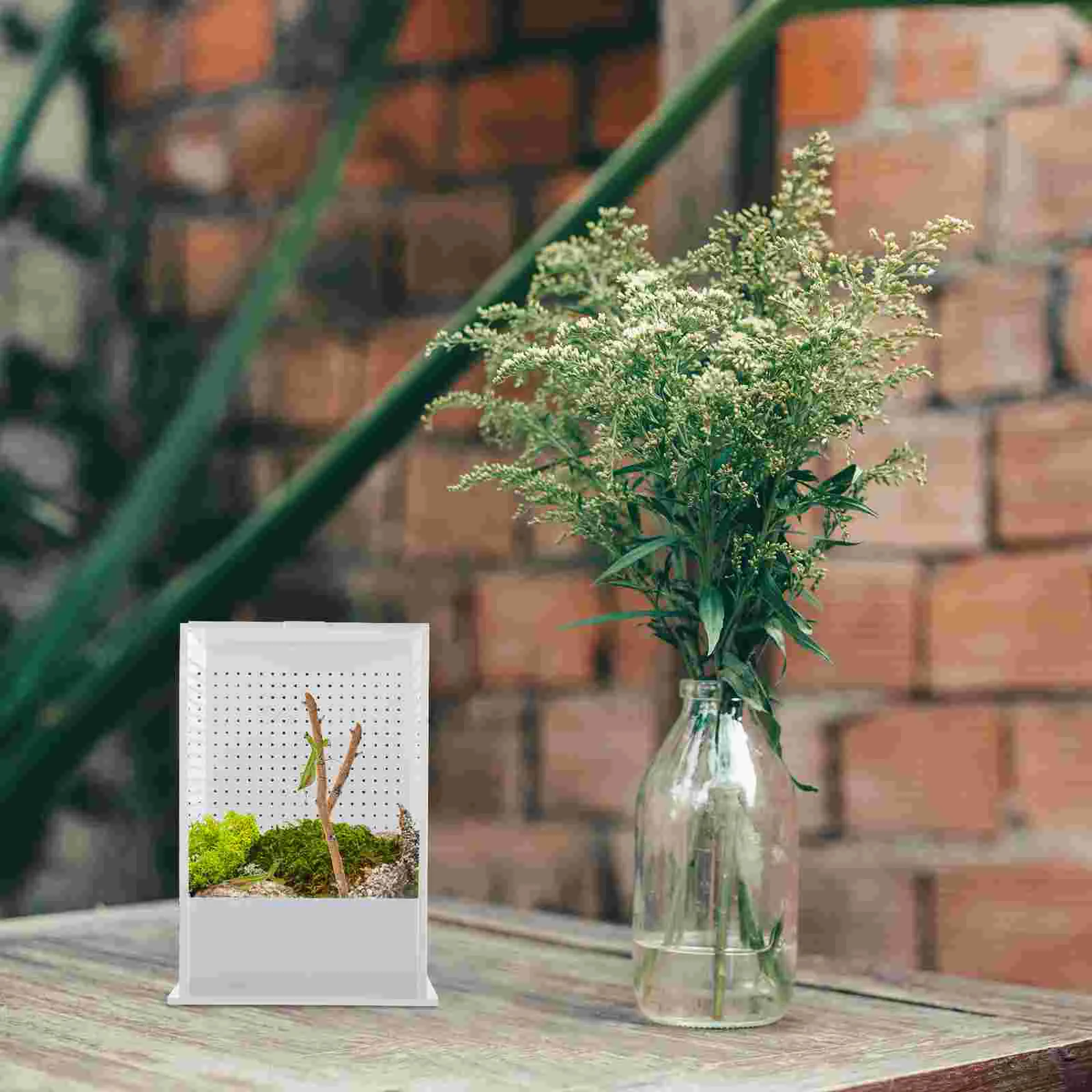 Transparent Mantis Acrylic Reptile Feeding Box - Insect Cage