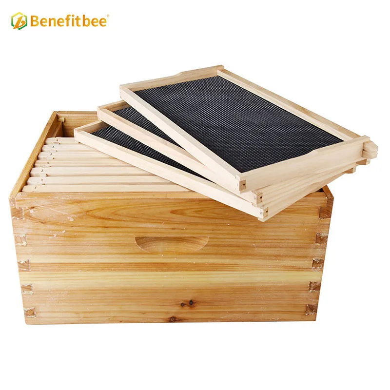 Wholesale Bee Hives Beekeeping Tools Apicultura Bee Box Beehive Kit ...