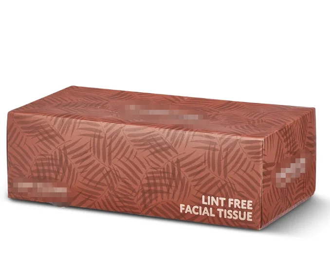 Customized 100% Bamboo Premium Box Facial Tissues 2 Ply 120 Sheets For ...