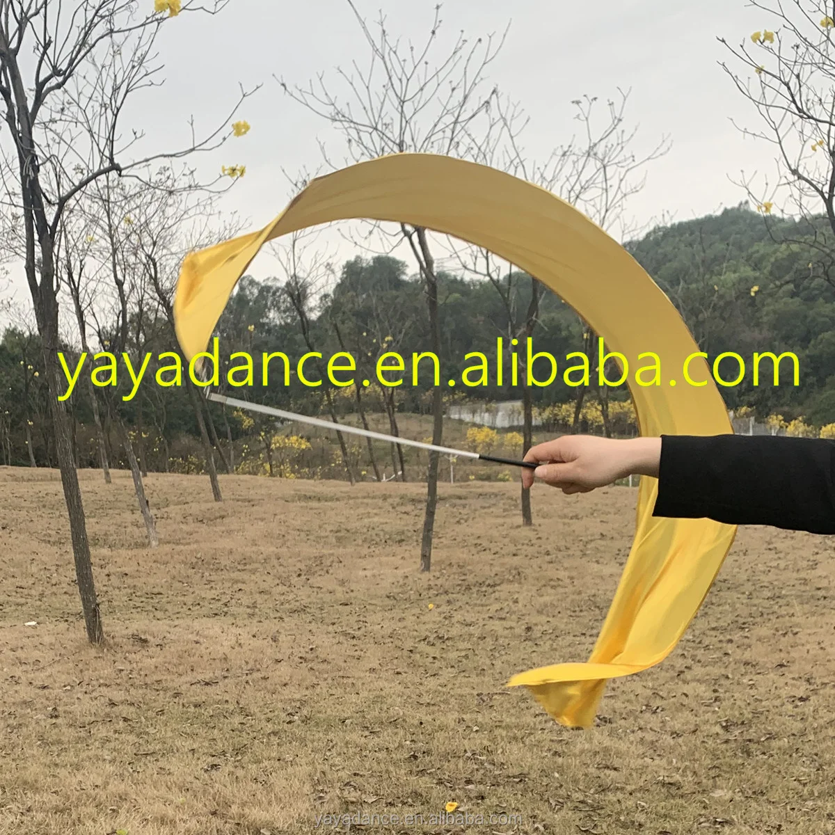 Nayaking Metal Shiny Streamers Sticks Ribbon Gym Ribbons Dance Rhythmic ...