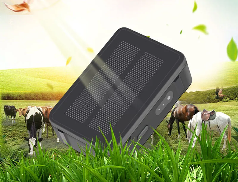 V44 Solar Gps Tracker For Cows & Livestock - Waterproof, Real-time ...