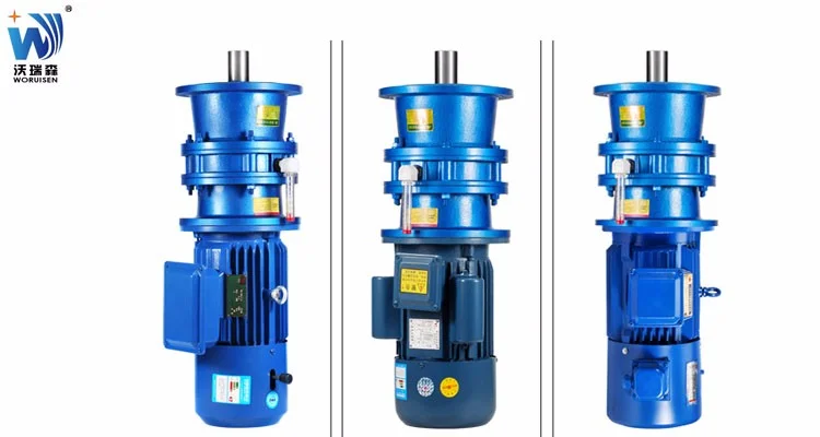 Woruisen Vertical Cycloidal Pinwheel Reducer - Various Speed Ratios