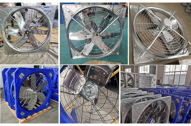 Dairy Farm Hanging Exhaust Fan Cow Shed Ventilation Equipment Cattle ...