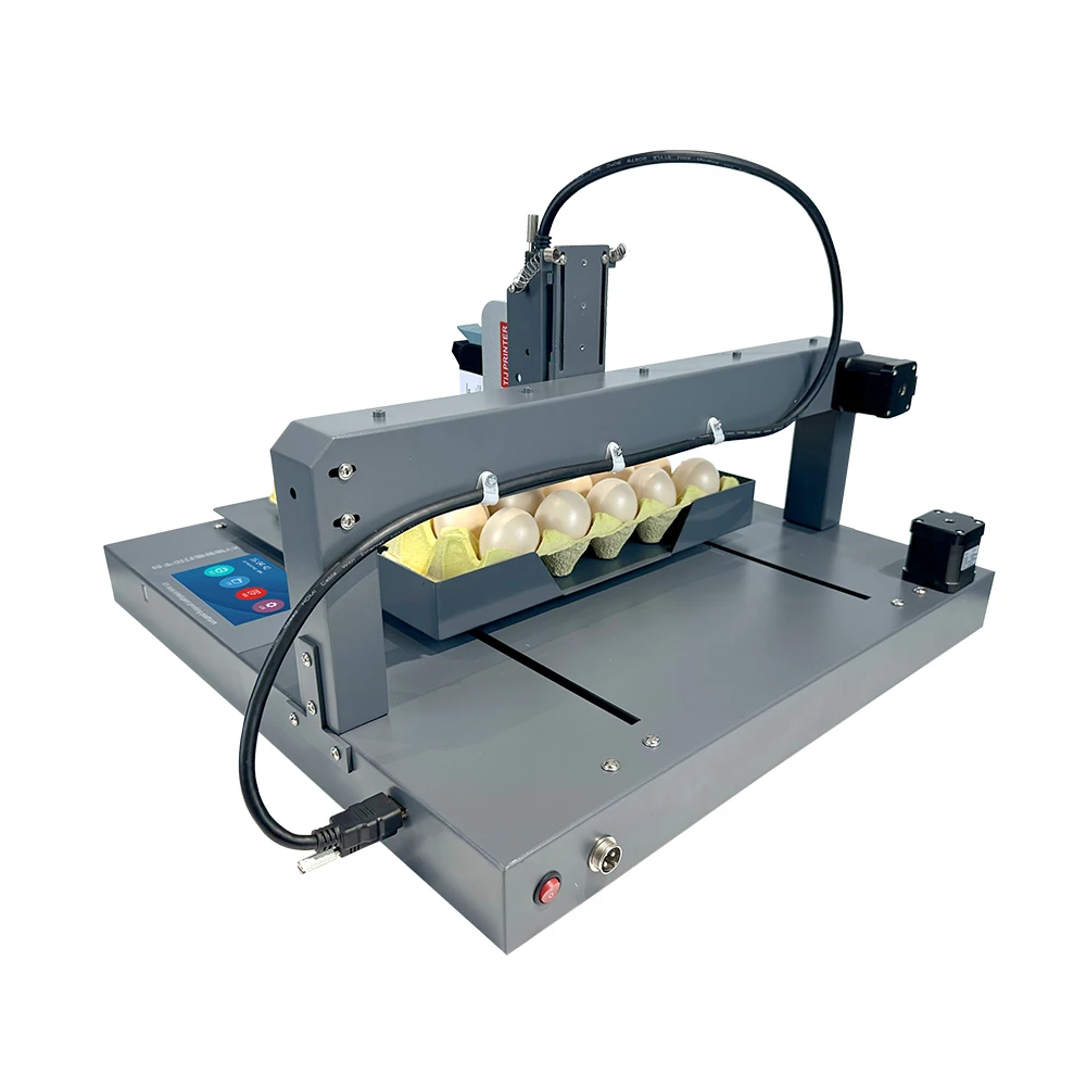Automatic Egg Inkjet Printer Machine With Conveyor Belt Egg Date ...