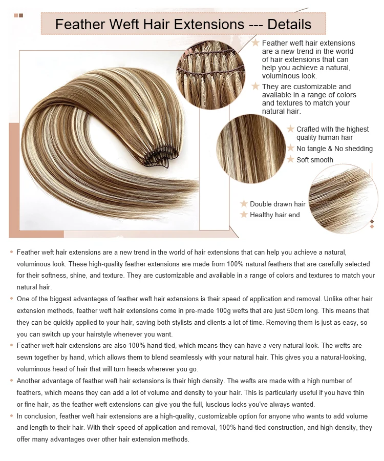 New Arrival Unprocessed European Invisible Feathers H6 Tip Human Double ...