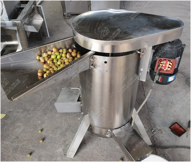 Fruit Pulp Machine Fruit Pulping Machine Fruit Pulp Refining Machines ...