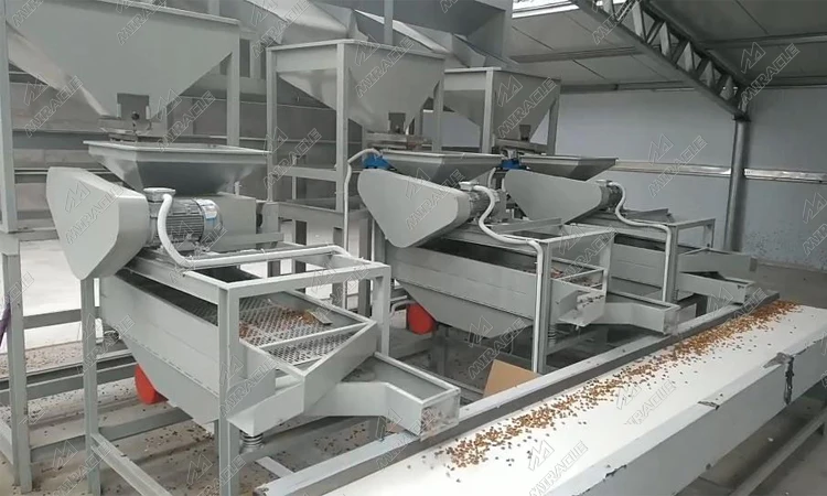 Almond Crushing Machine - Efficient Nut Cracking Solutions
