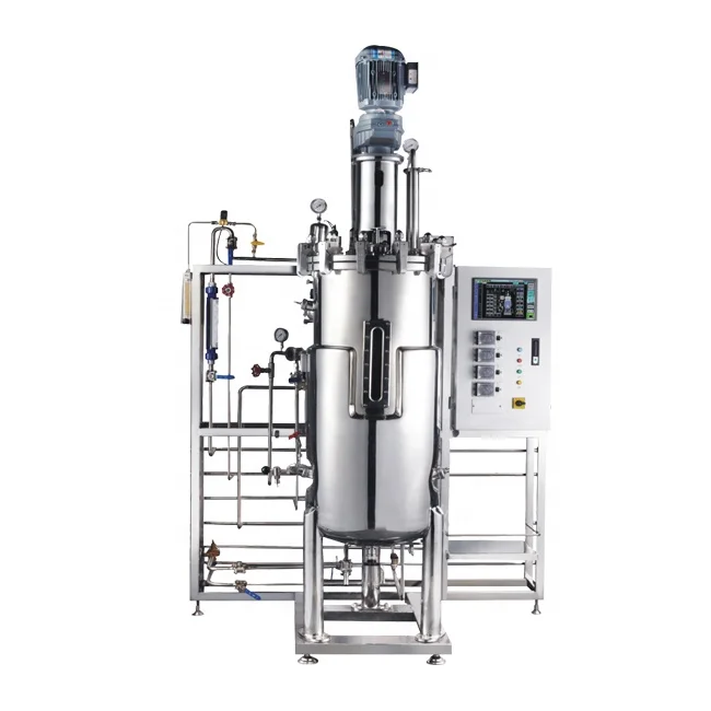 Algae Bioreactor Tank Fermentor - Efficient & Reliable