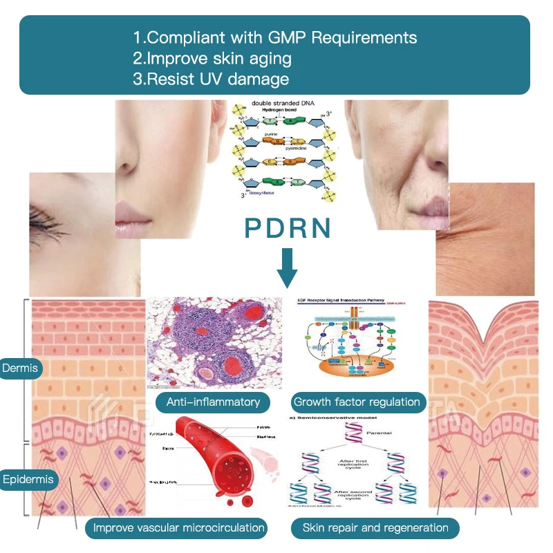 Pure PDRN Mesotherapy Salmon DNA 99% Powder for Skincare