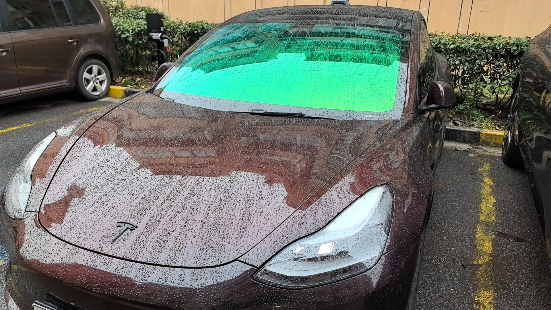 Blue Purple Chameleon Window Tint Film for Cars - UV & IR Proof, OEM