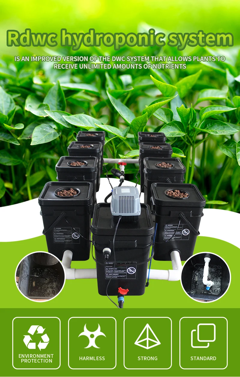 Rdwc 8 Buckets Recirculating Hydroponic System Dutch Bucket System - Buy Hydroponic System,Rdwc ...