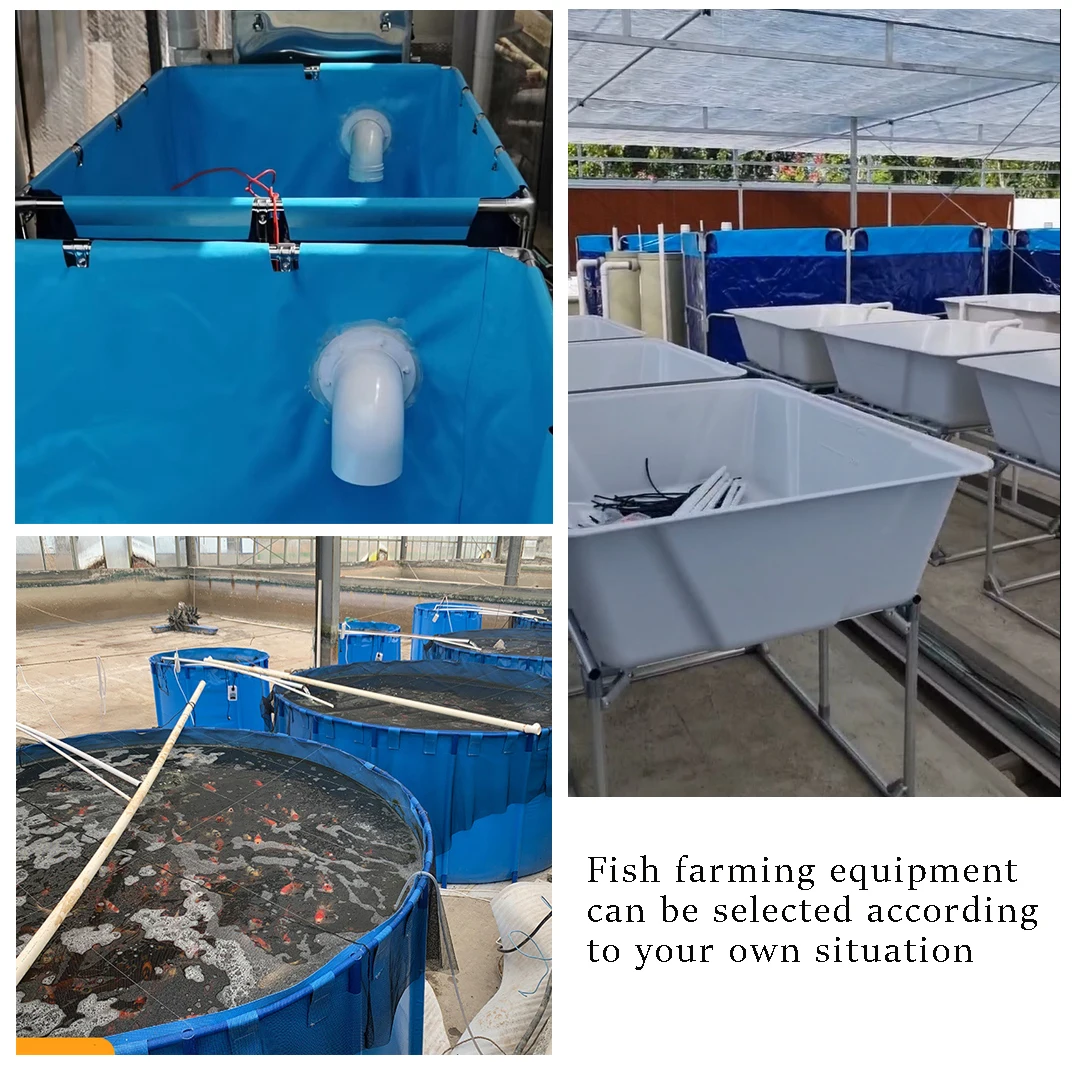 Omana Aquaponic Growing Systems Aquaponics System Farm Aquaponics ...