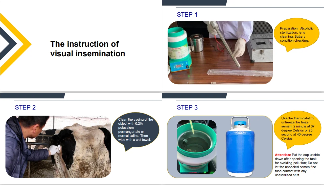 AI Visual Cattle Artificial Insemination Gun with Camera