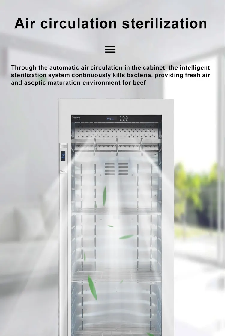 Restaurant Food Meat Ager Machine Steak Fridge Dry Aging Refrigerator ...