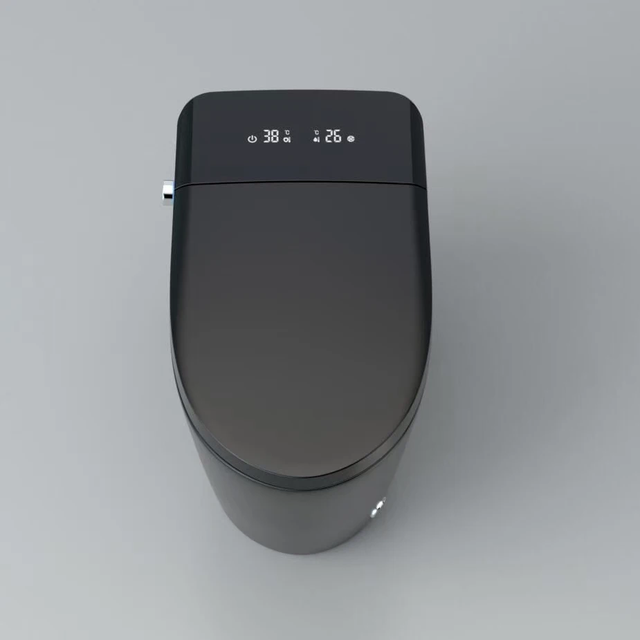 110v/220v Fully Automatic Luxury Modern Design Electronic Wc Toilet ...