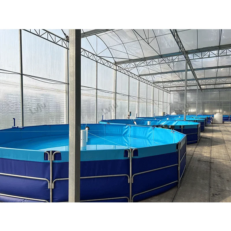 Foldable PVC Fish Tank - Durable Aquaculture Solutions