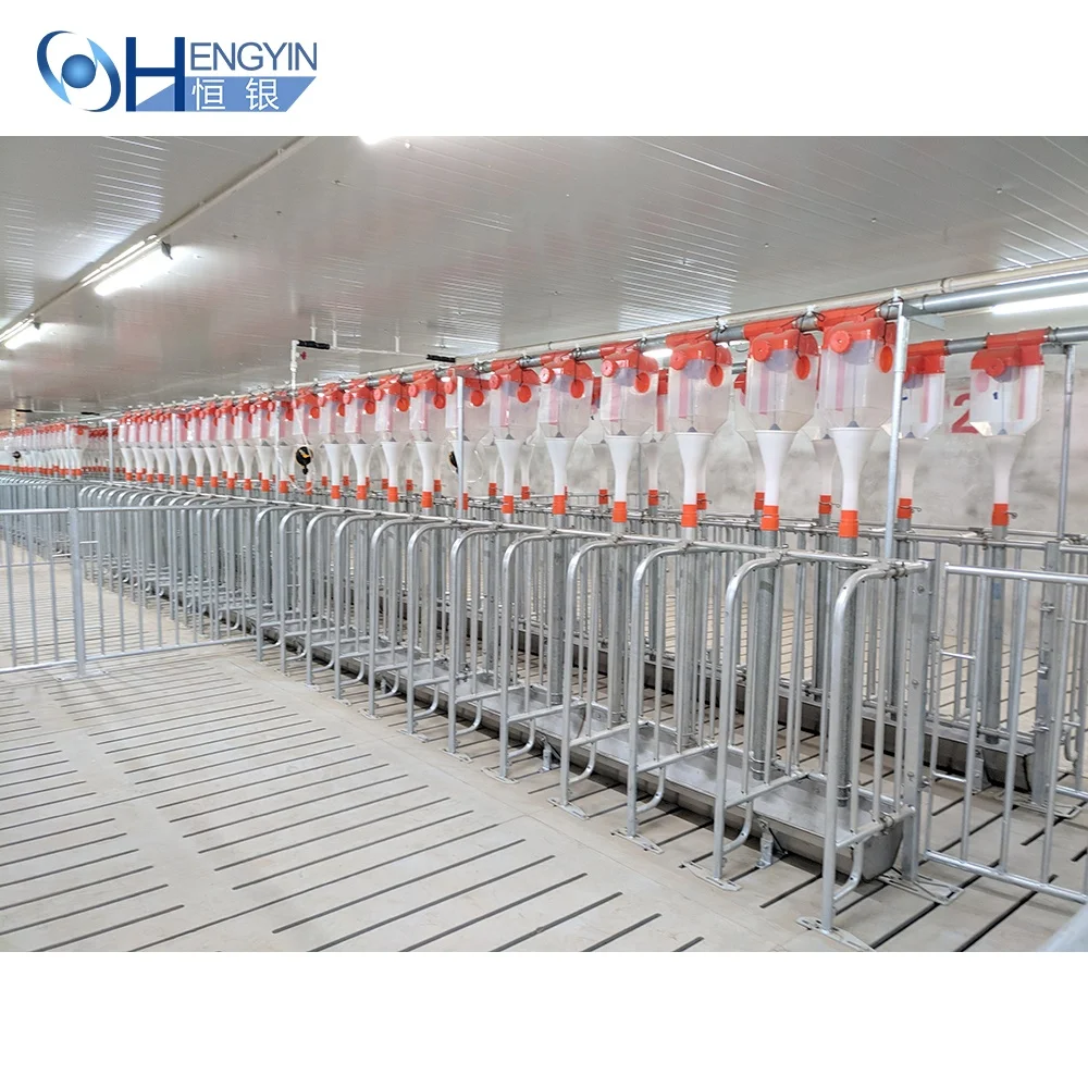 Hot Sales Pig Farm Feed Conveyor Disk Chain Plug Disc Chain with Nylon ...