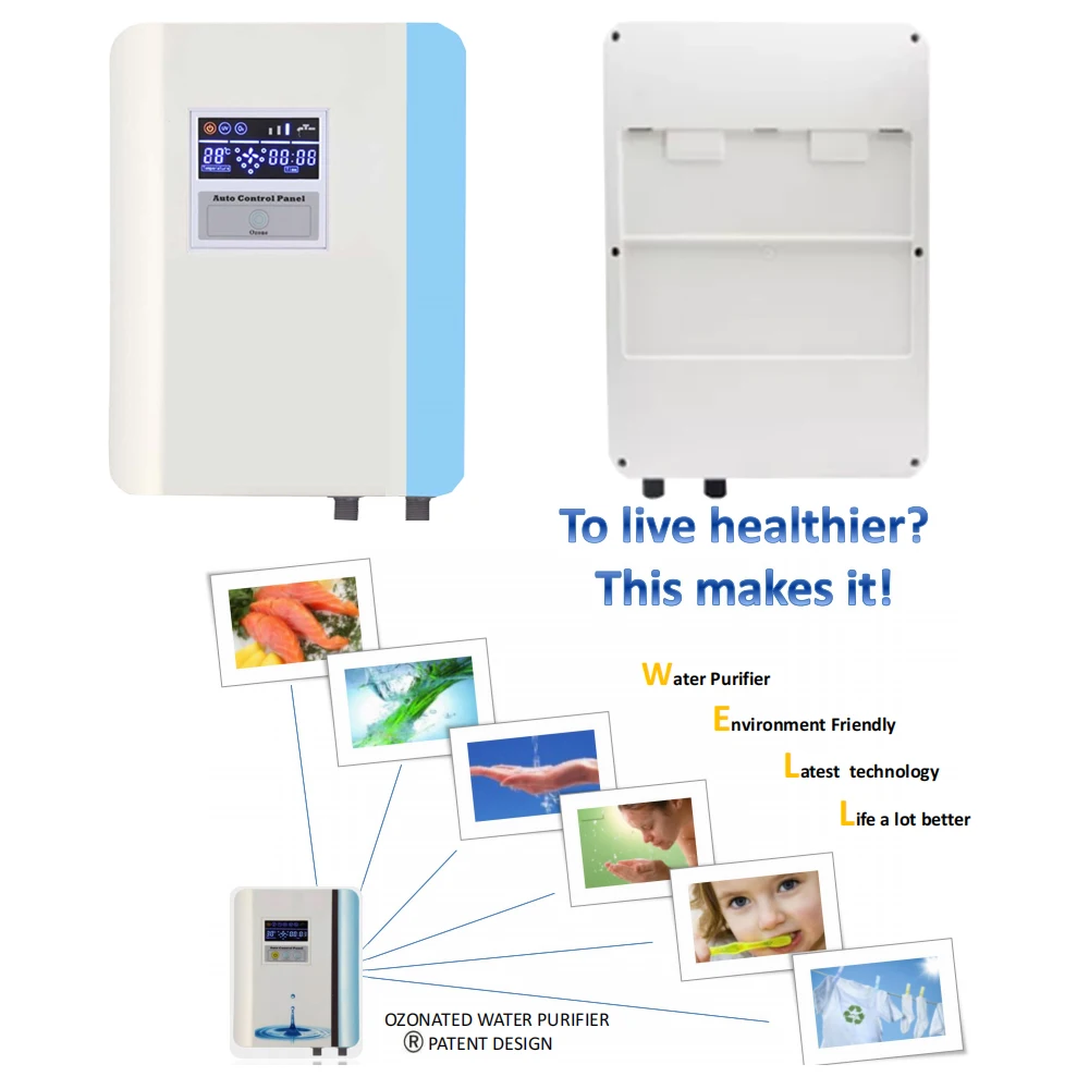 Approval Water Flow Switch Auto Ozonator Portable Design Ozone Water ...