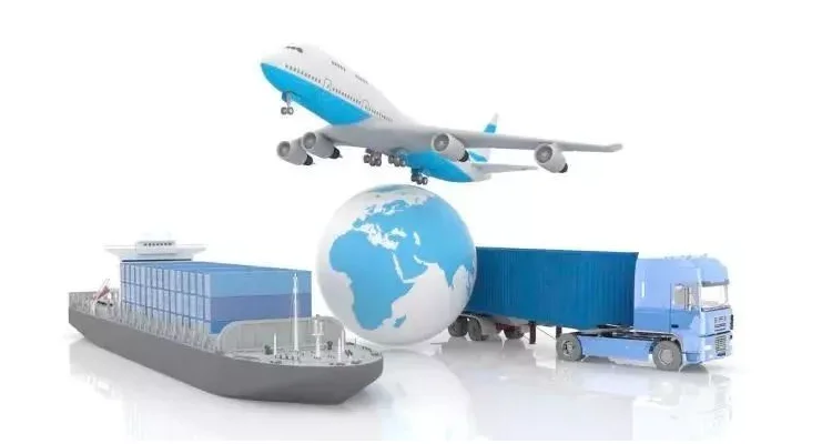 Advanced Bedsore Wound Decubitus Ulcer Model Pressure Sore Medical ...