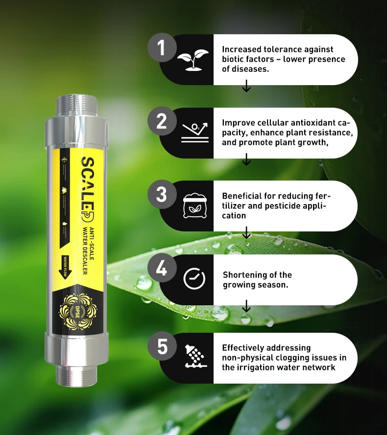 Scaledp Commercial Water Treatment Machine Pipes Scale Solution Salt ...