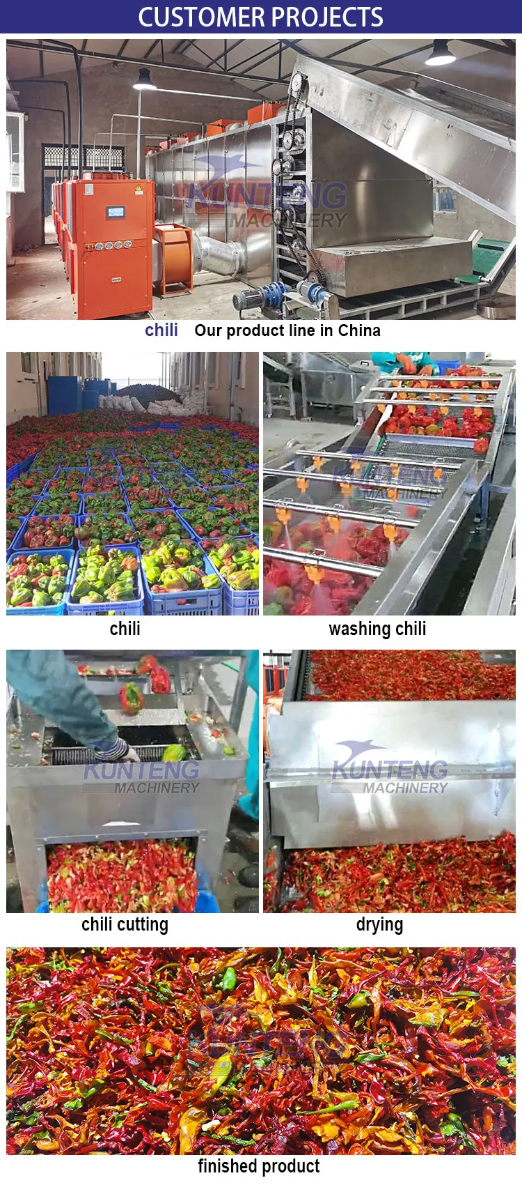 Multi Function Continuous Pepper Dehydration Machine